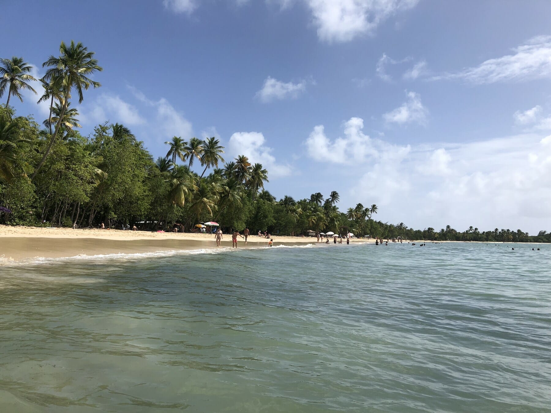 10 of the Best Tourist Attractions in Martinique